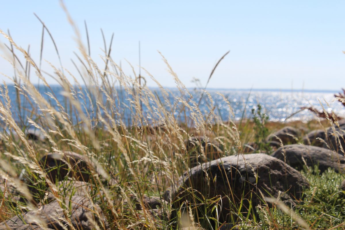 Magnarp sommar 2018 extra (2) – Utflyktstips i Skåne